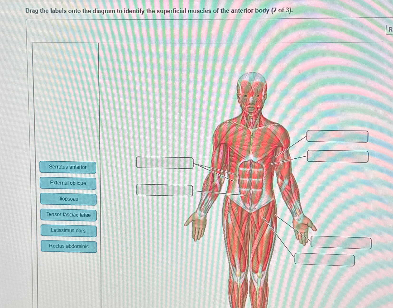Drag the labels onto the diagram to identify the | Chegg.com