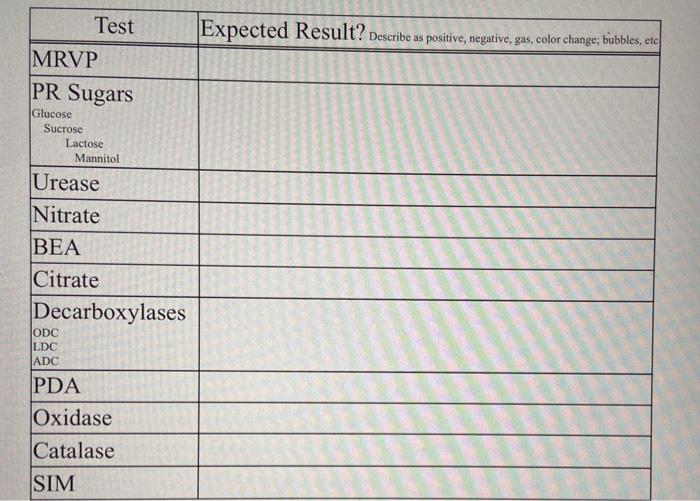 Solved Test Expected Result? Describe as positive, negative, | Chegg.com