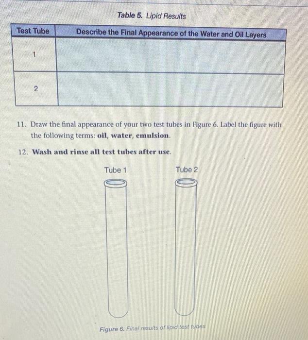 Table 5. Lipid Results Test Tube Describe the Final | Chegg.com