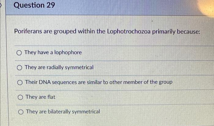 Solved Question 29 Poriferans are grouped within the | Chegg.com