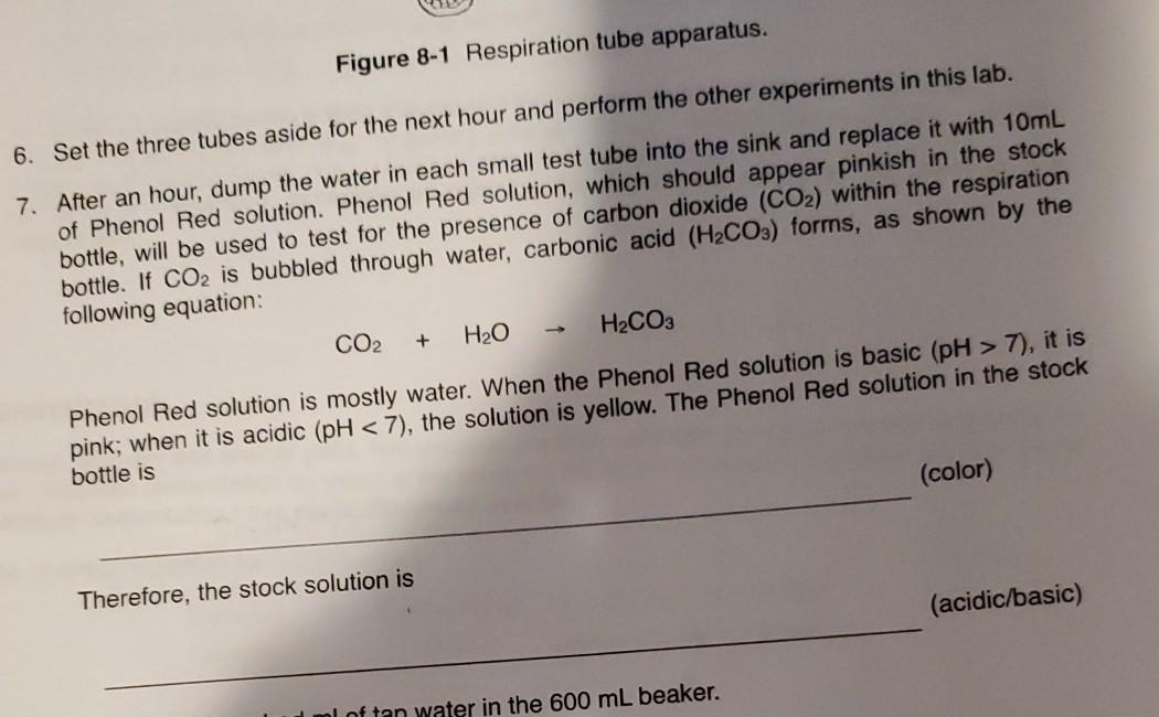 Solved Figure 8-1 Respiration tube apparatus. 6. Set the | Chegg.com