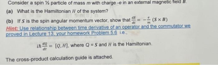 Solved Consider a spin 1/2 particle of mass m with charge −e | Chegg.com