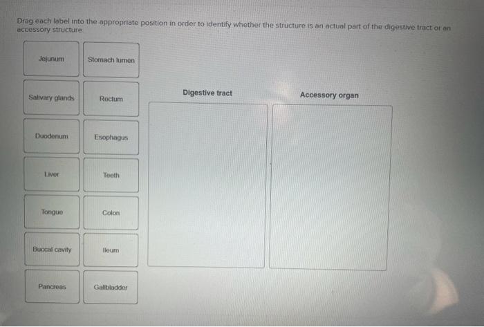 Solved Drag each label into the appropriate position in | Chegg.com
