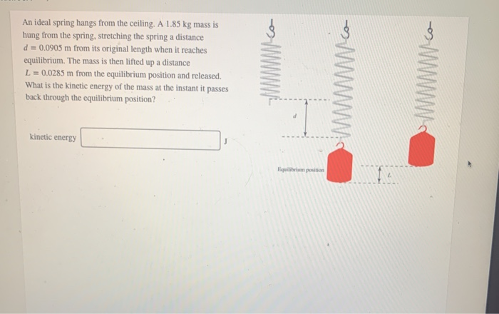 Solved An ideal spring hangs from the ceiling. A 1.85 kg | Chegg.com
