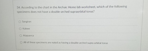Solved According to the chart in the Archaic Homo lab | Chegg.com