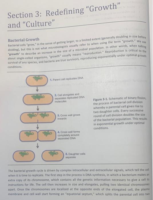 Bacterial Growth Bacterial cells "grow," in the sense | Chegg.com