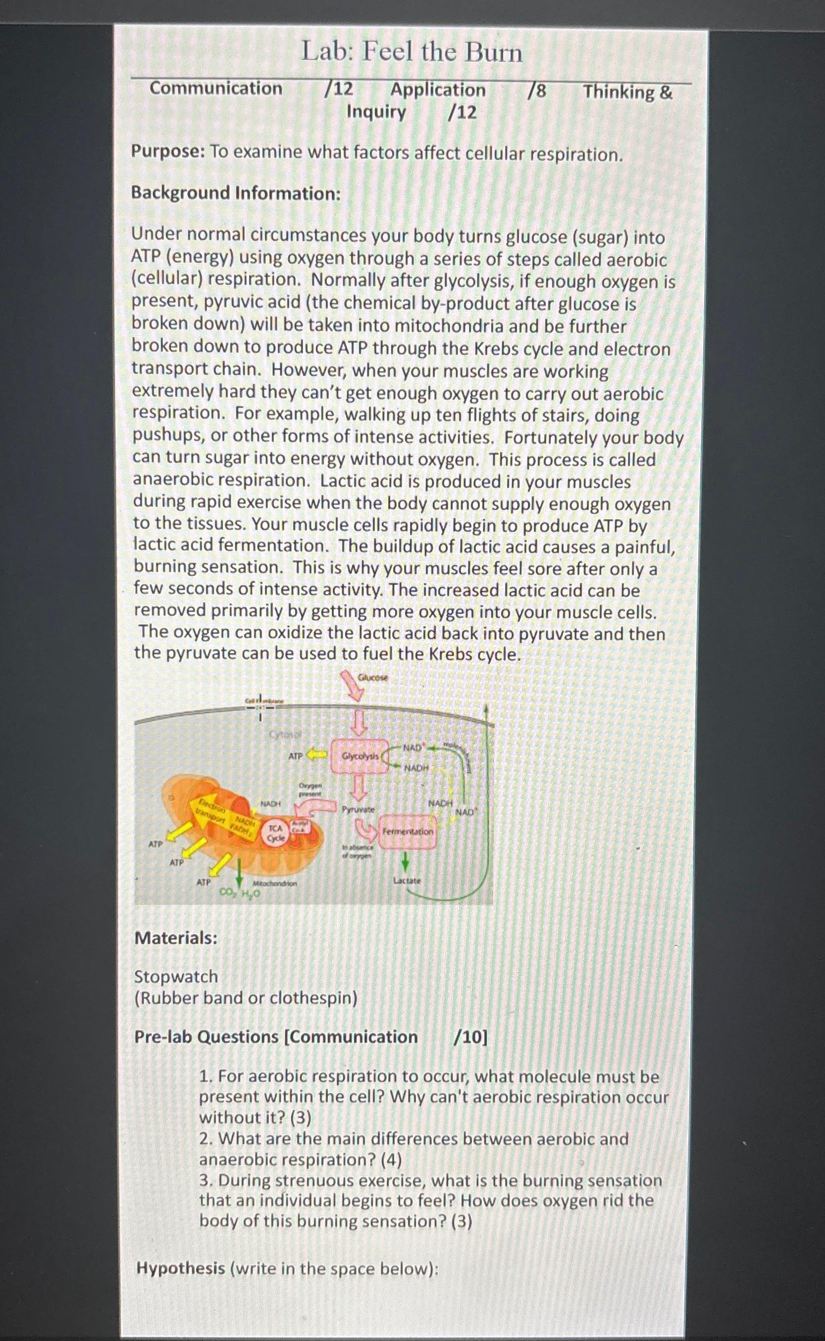Solved Lab: Feel the Burn\table[[Communication,\table[[?12 | Chegg.com