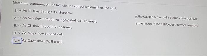 Solved Match the statement on the left with its correct | Chegg.com