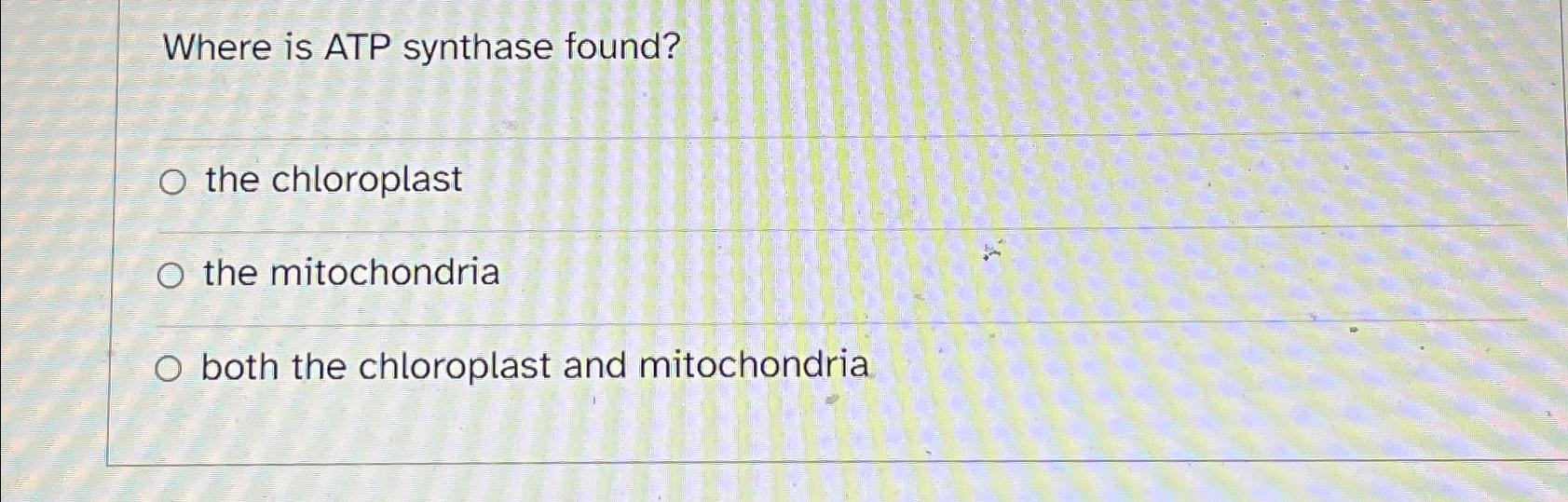 Solved Where is ATP synthase found?the chloroplastthe | Chegg.com