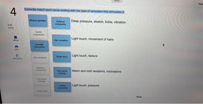 Solved correctly match each nerve ending with the type of | Chegg.com