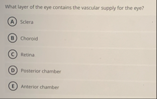 Solved What layer of the eye contains the vascular supply | Chegg.com