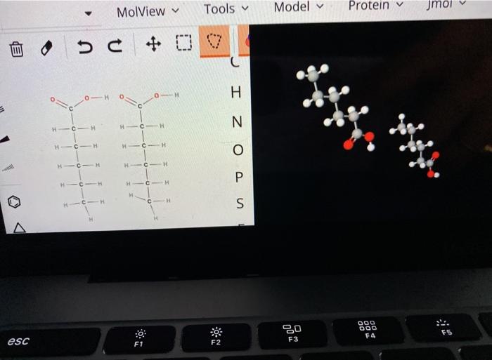 Solved MolView Tools Model Protein 5c ON H - H H-CH I Z 0 | Chegg.com