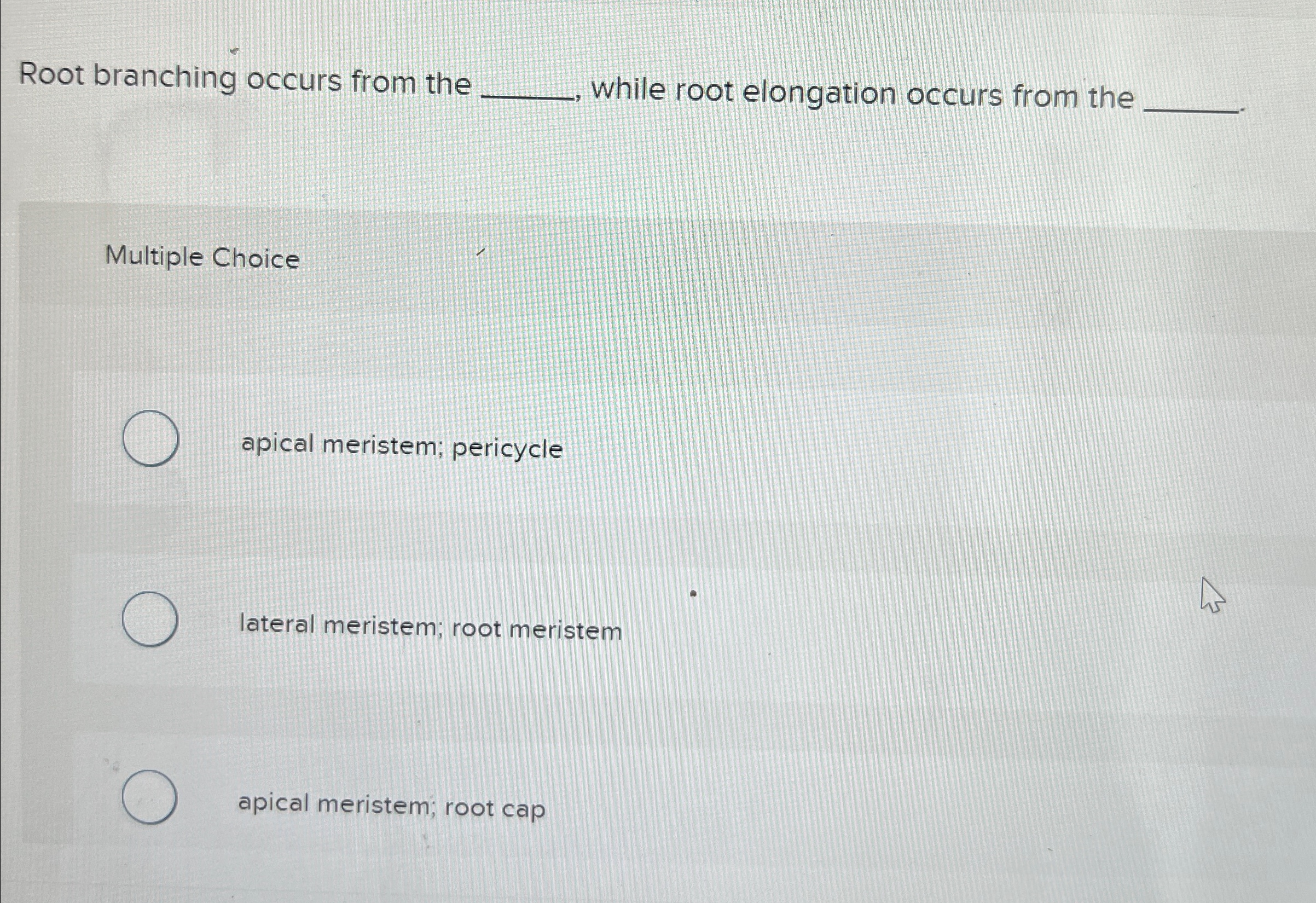 Solved Root branching occurs from the while root elongation | Chegg.com