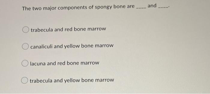 Solved and The two major components of spongy bone are | Chegg.com