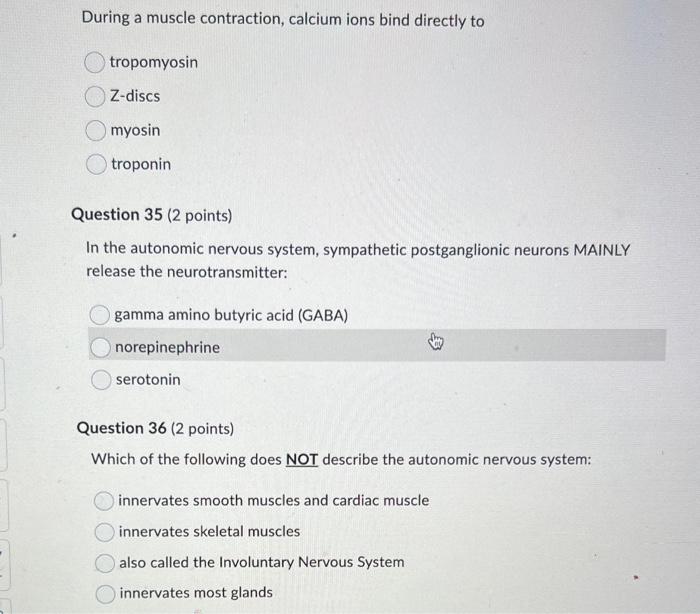 Solved During a muscle contraction, calcium ions bind | Chegg.com