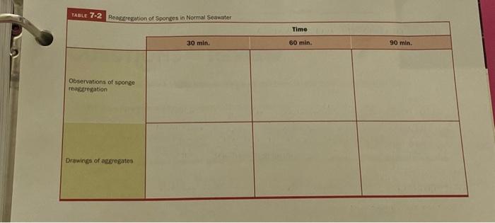 TABLE 7-2 Reaggregation of Sponges in Normal Seawater | Chegg.com