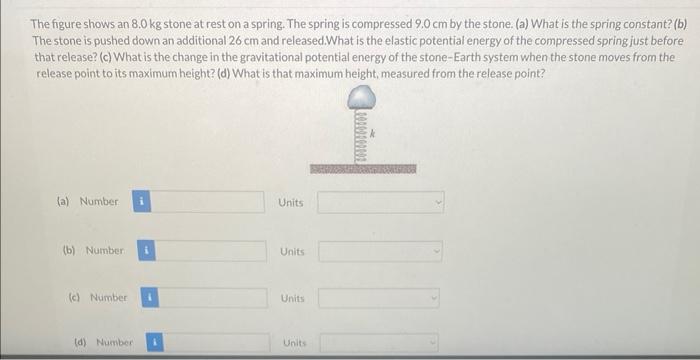 Solved The figure shows an 8.0 kg stone at rest on a spring. | Chegg.com