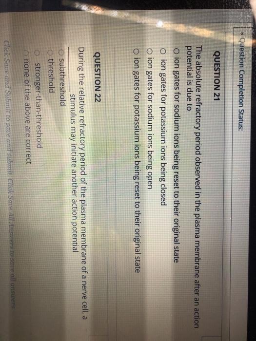 Solved Question Completion Status: QUESTION 21 The absolute | Chegg.com