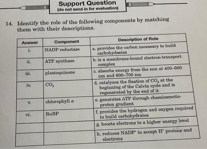 Solved Identify the role of the following components by | Chegg.com