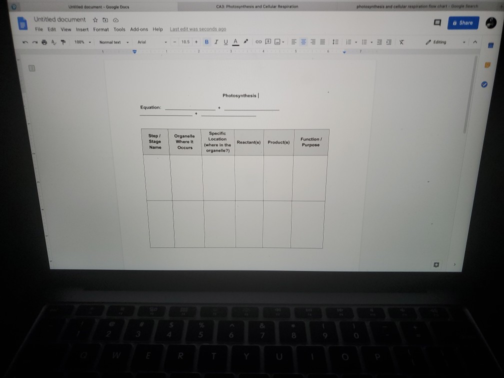 Solved Uwited document - Doogle Docs CA3: Photosynthesis and | Chegg.com