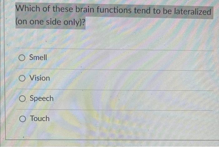 Solved Which of these brain functions tend to be lateralized | Chegg.com