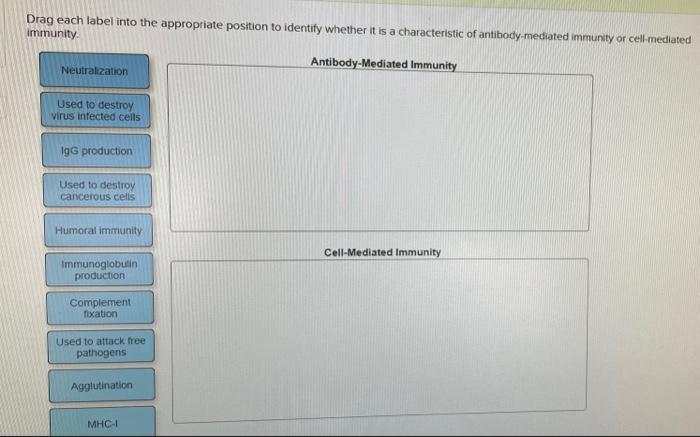 Solved Drag each label into the appropriate position to | Chegg.com