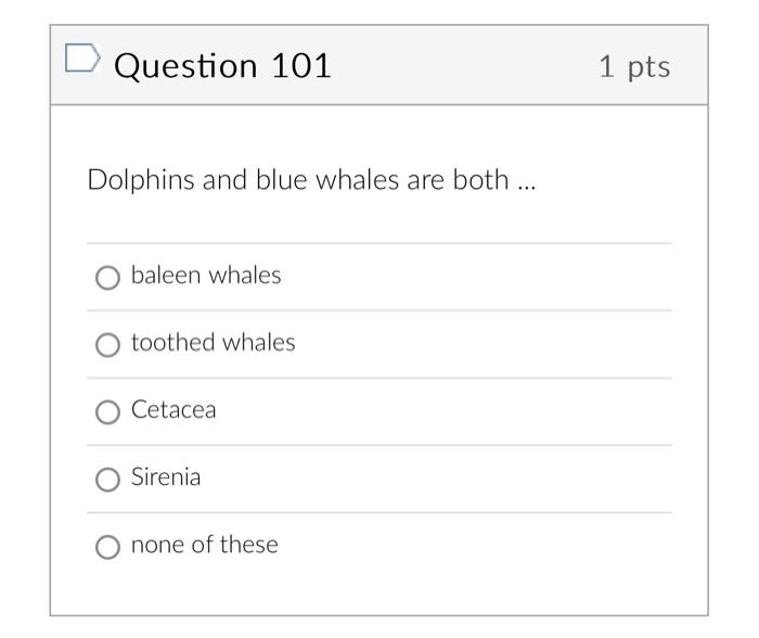 Solved Question 101 Dolphins and blue whales are both ... | Chegg.com