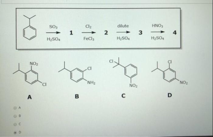 Solved 8 SO3 CI dilute HNO3 1 2 3 4 H2SO4 FeCl3 H2SO4 H2SO4 | Chegg.com