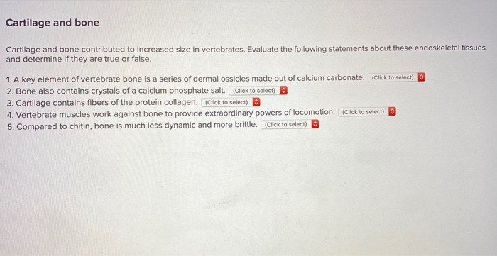 Solved Cartilage and bone Cartilage and bone contributed to | Chegg.com