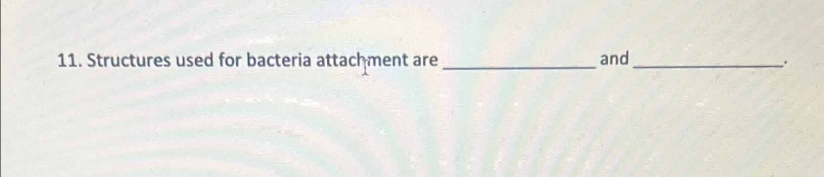 Solved Structures used for bacteria attachment are and | Chegg.com