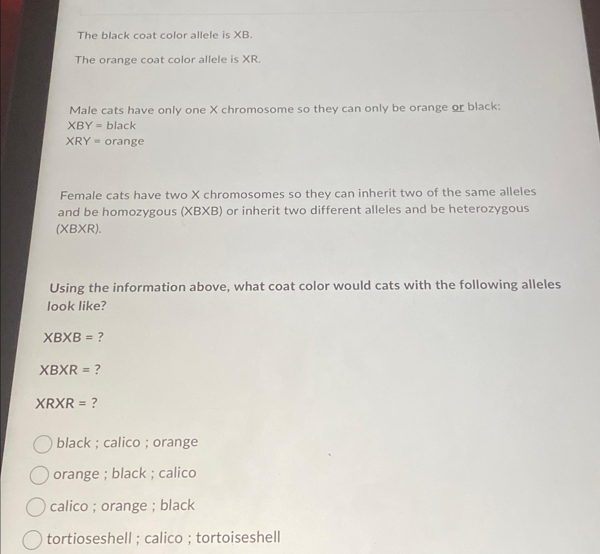 Solved The black coat color allele is XB.The orange coat | Chegg.com