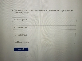 Solved To decrease water loss, antidiuretic hormone (ADH) | Chegg.com