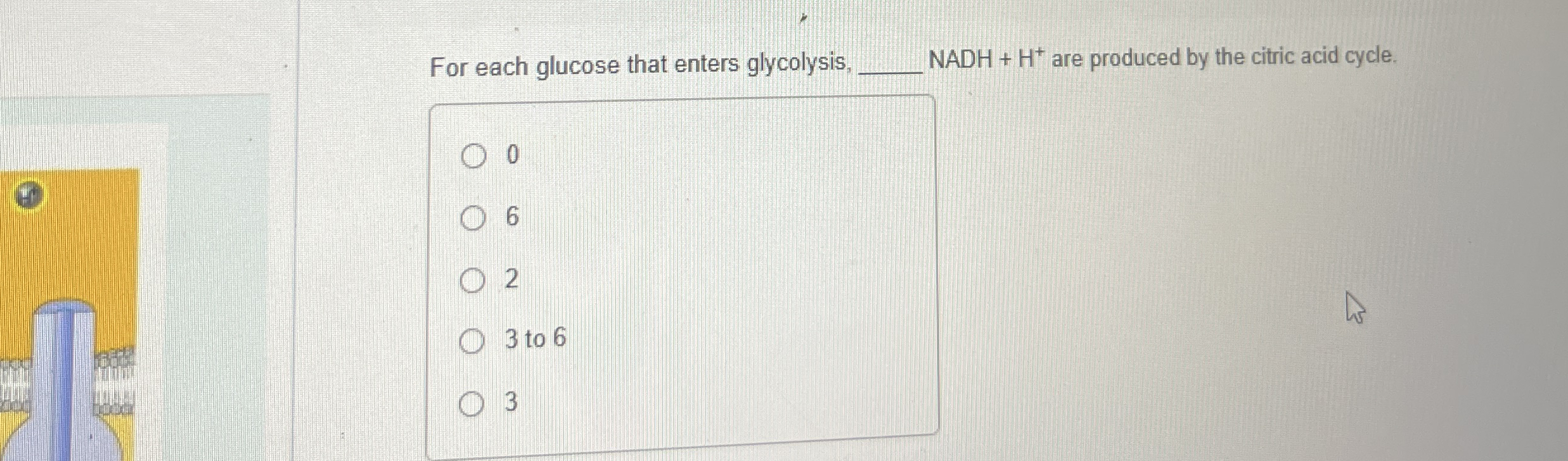 Solved For each glucose that enters glycolysis, q, | Chegg.com