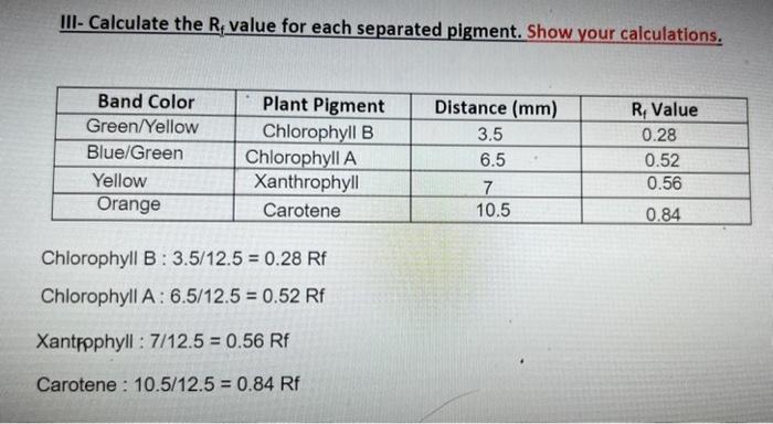 Solved III- Calculate the Rt value for each separated | Chegg.com