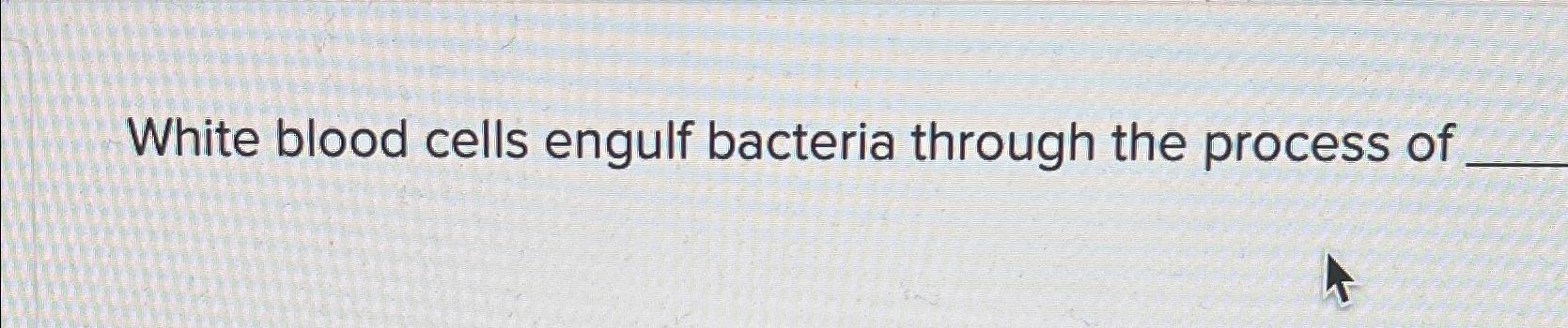 Solved White blood cells engulf bacteria through the process | Chegg.com
