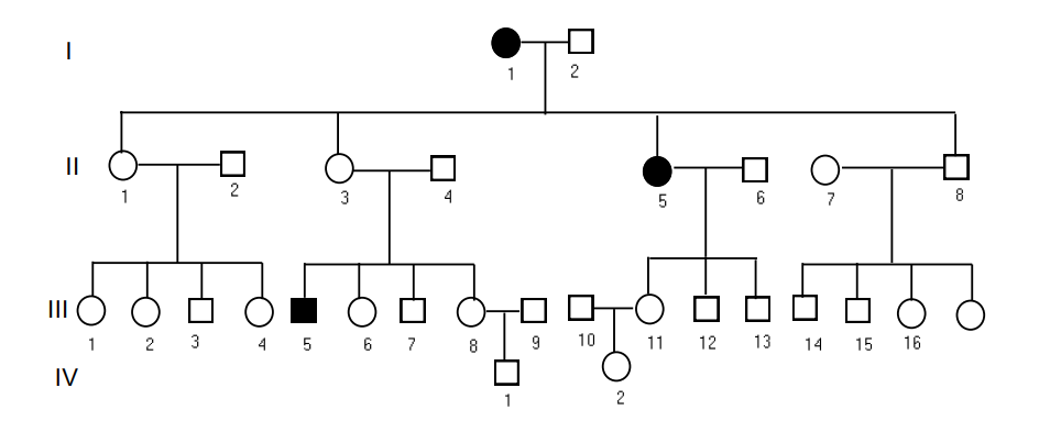 Solved In the family pedigree shown in the following chart, | Chegg.com