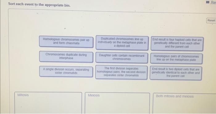 Solved Sort each event to the appropriate bin. | Chegg.com