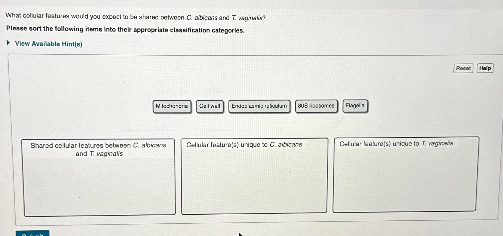 Solved What cellular features would you expect to be shared | Chegg.com