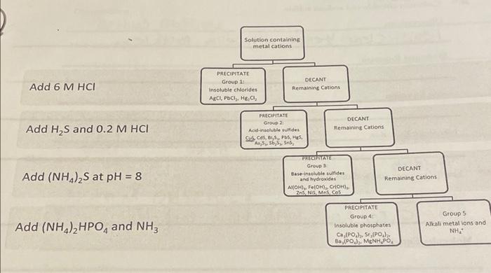 Solved Solution containing metal cations Add 6 M HCI | Chegg.com