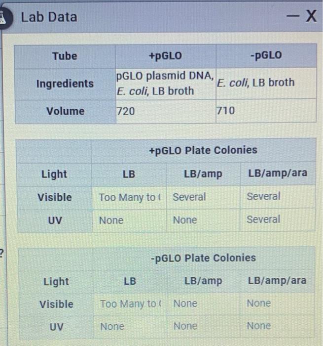 Solved Lab Data - X Tube +PGLO -PGLO PGLO plasmid DNA, E. | Chegg.com
