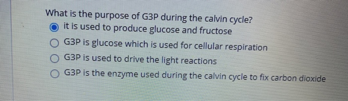 Solved What is the purpose of G3P during the calvin cycle? o | Chegg.com