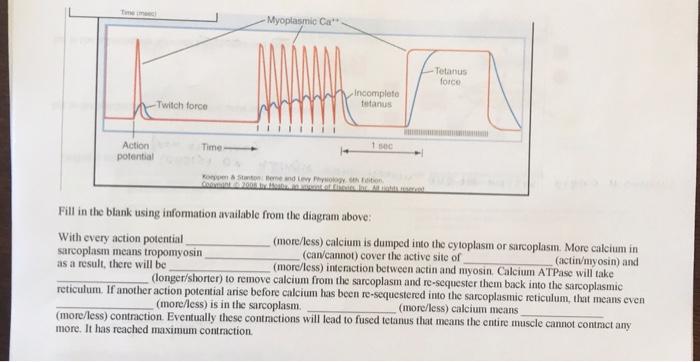 Solved Myoplasmic Cat Tetanus force Incomplete tetanus | Chegg.com