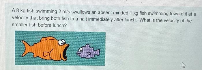 Solved A 8 kg fish swimming 2 m/s swallows an absent minded | Chegg.com