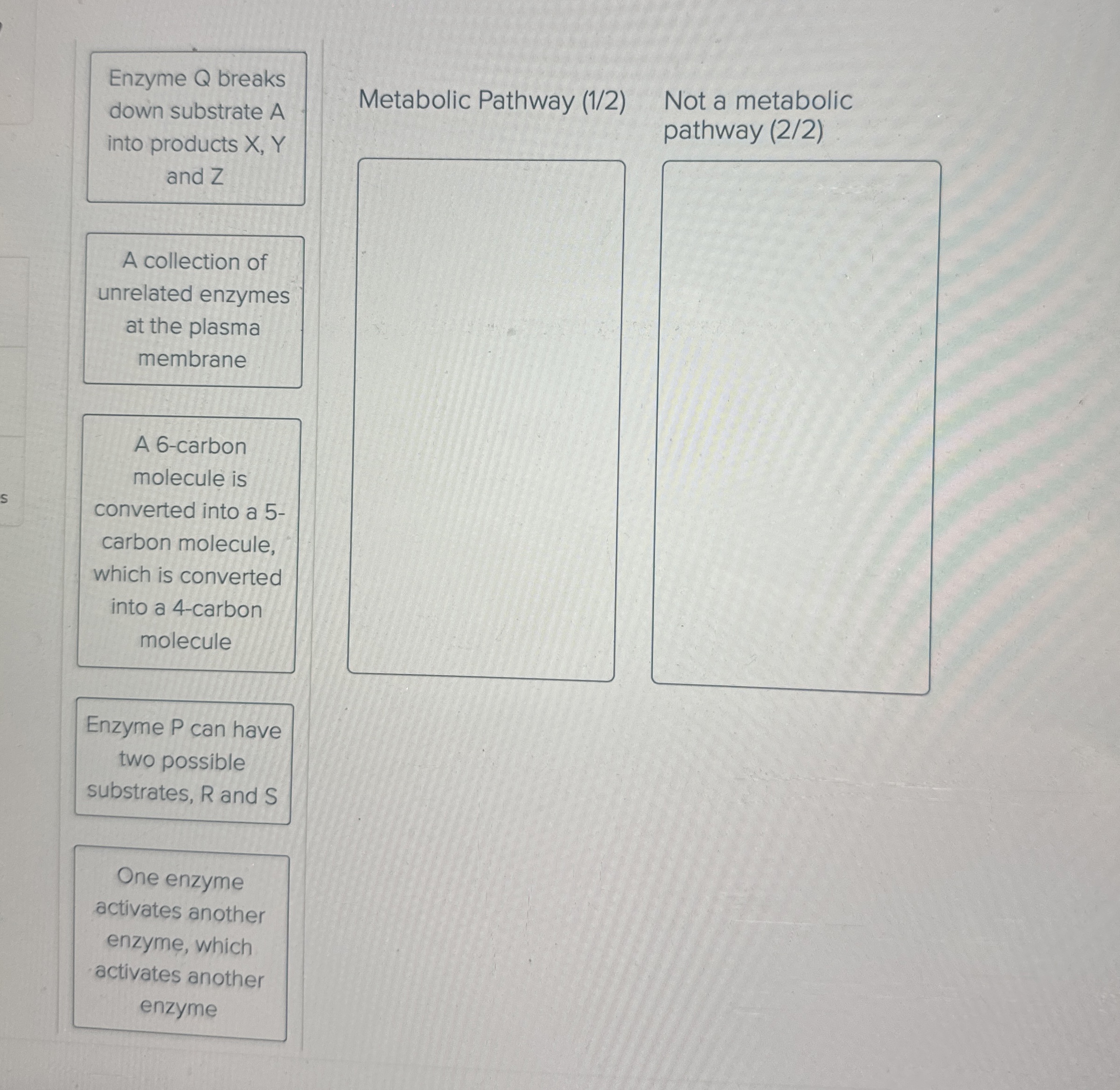 Solved Enzyme Q breaksdown substrate Ainto products X, ﻿Yand | Chegg.com
