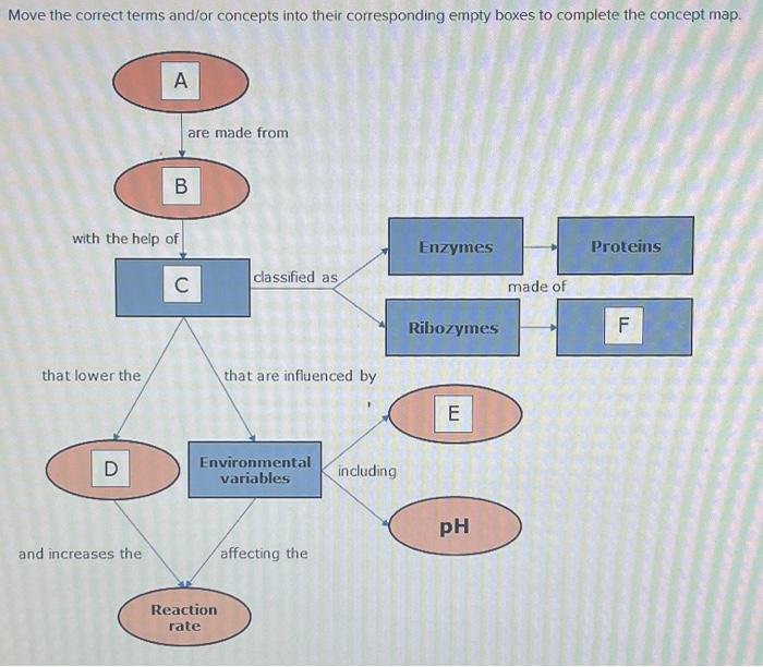 Solved Move the correct terms and/or concepts into their | Chegg.com