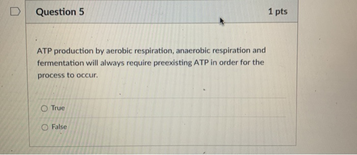 Solved Question 5 1 pts ATP production by aerobic | Chegg.com