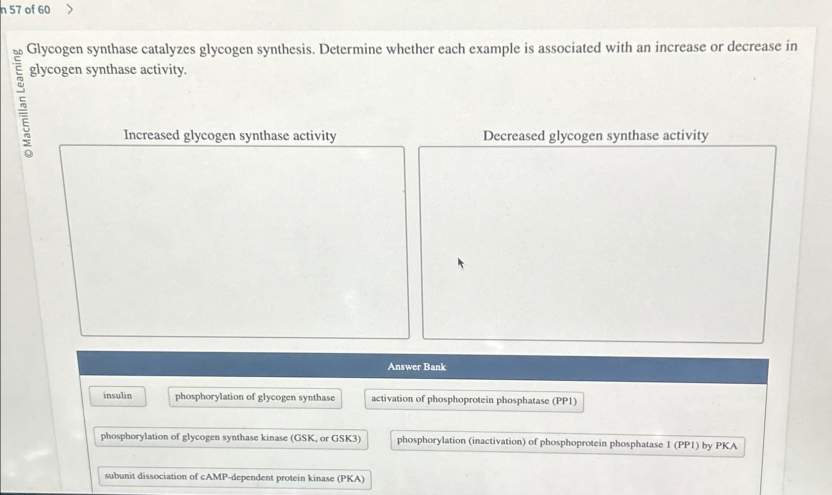 Solved h 57 ﻿of 60Glycogen synthase catalyzes glycogen | Chegg.com