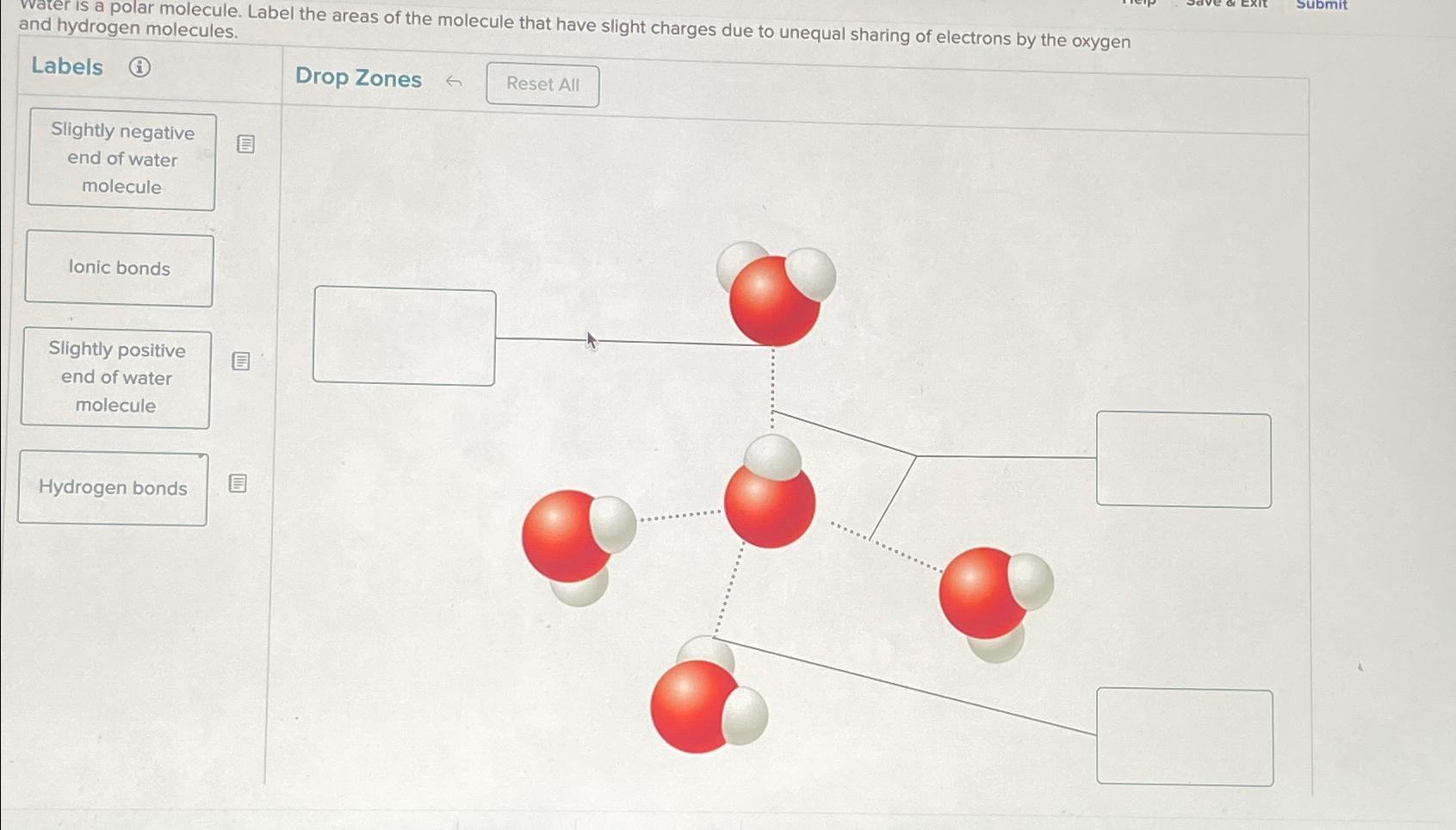 Solved warer is a polar molecule. Label the areas of the | Chegg.com