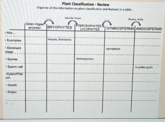 Solved Plant Classification - Review Oreanize all the | Chegg.com