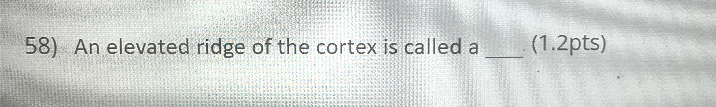 Solved An elevated ridge of the cortex is called a | Chegg.com